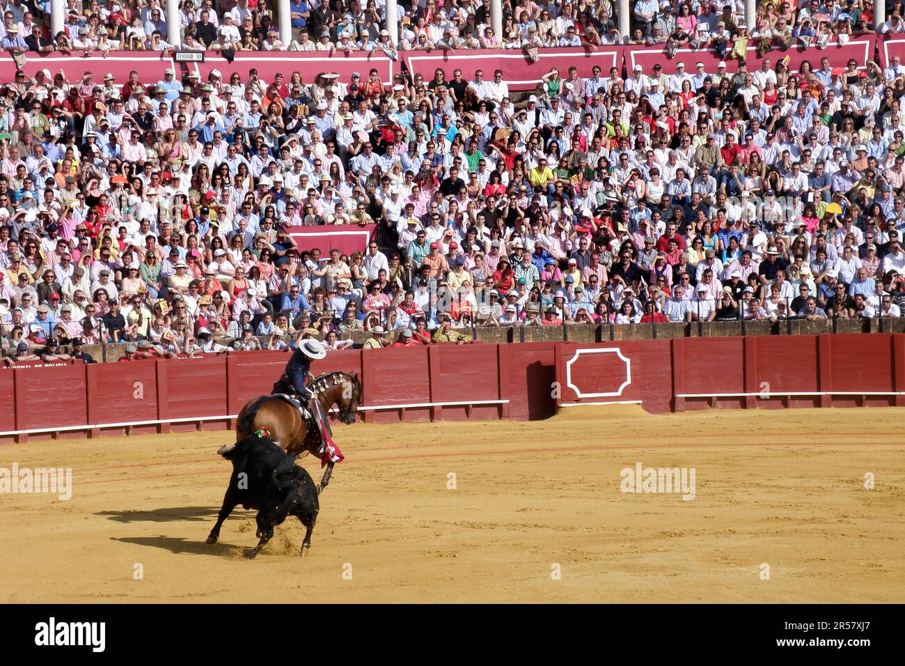 Bullfighting. Plaza de Toros. Seville. Spain Stock Photo - Alamy