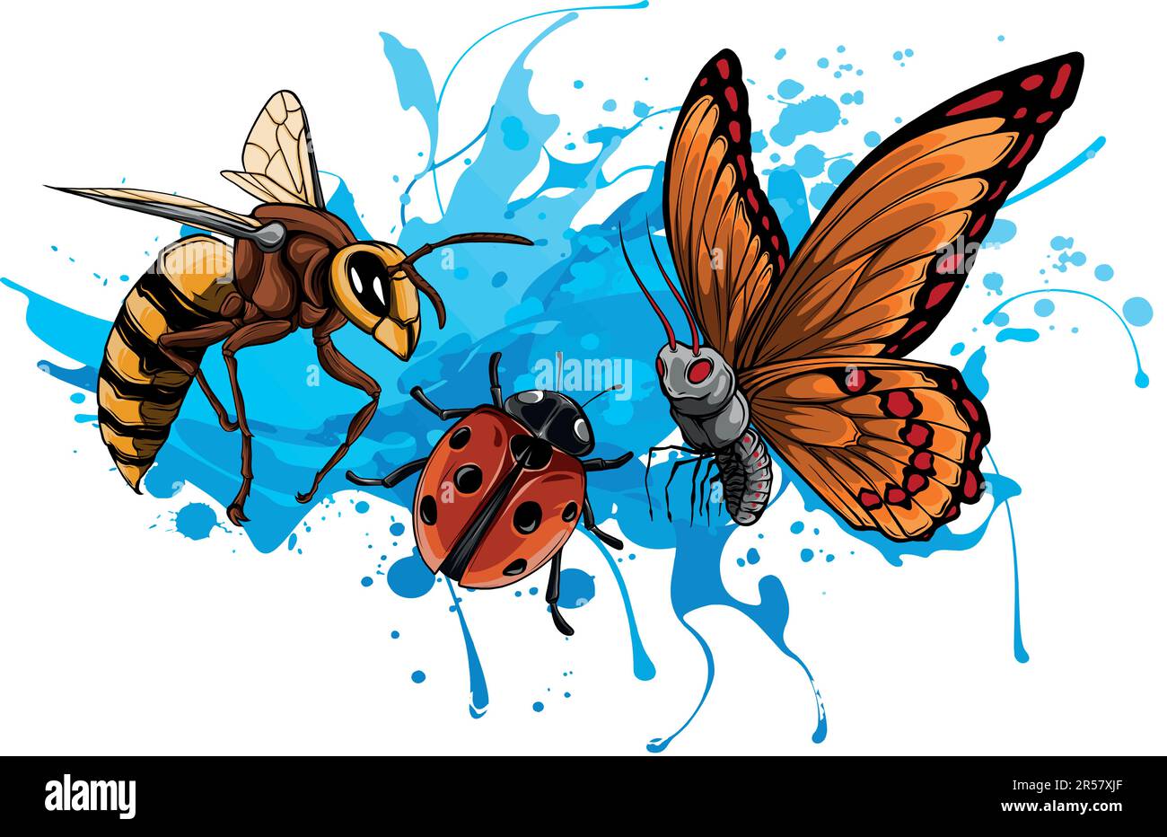 Insects colored decorative icons set with vector illustration Stock ...