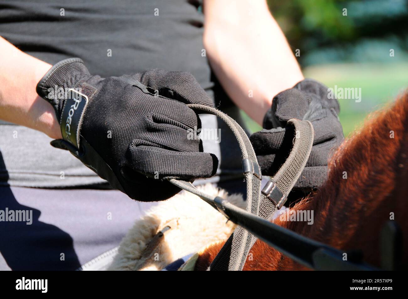 Rein hand hi-res stock photography and images - Alamy