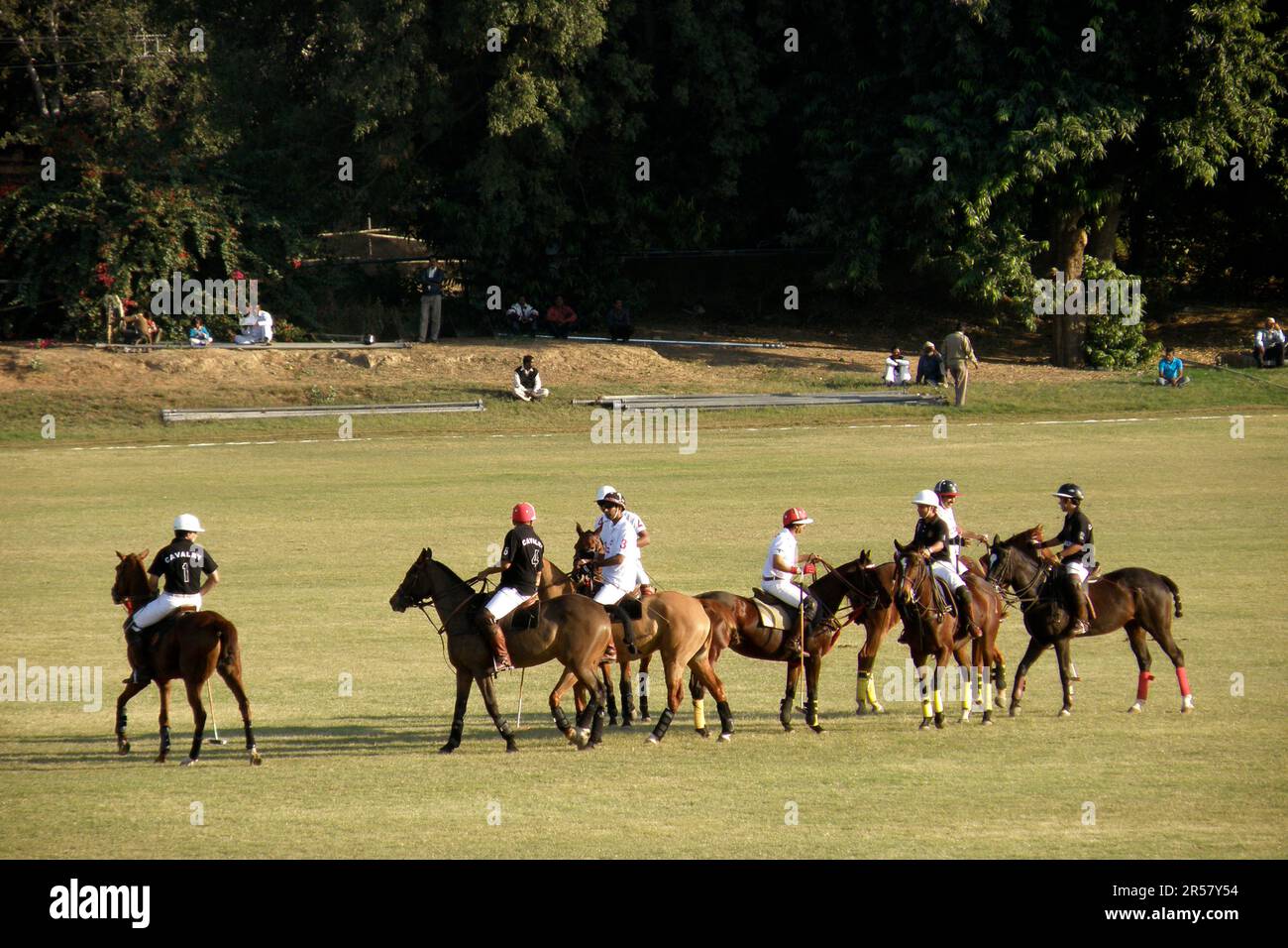 Polo match. Jaipur. Rajasthan. India Stock Photo - Alamy