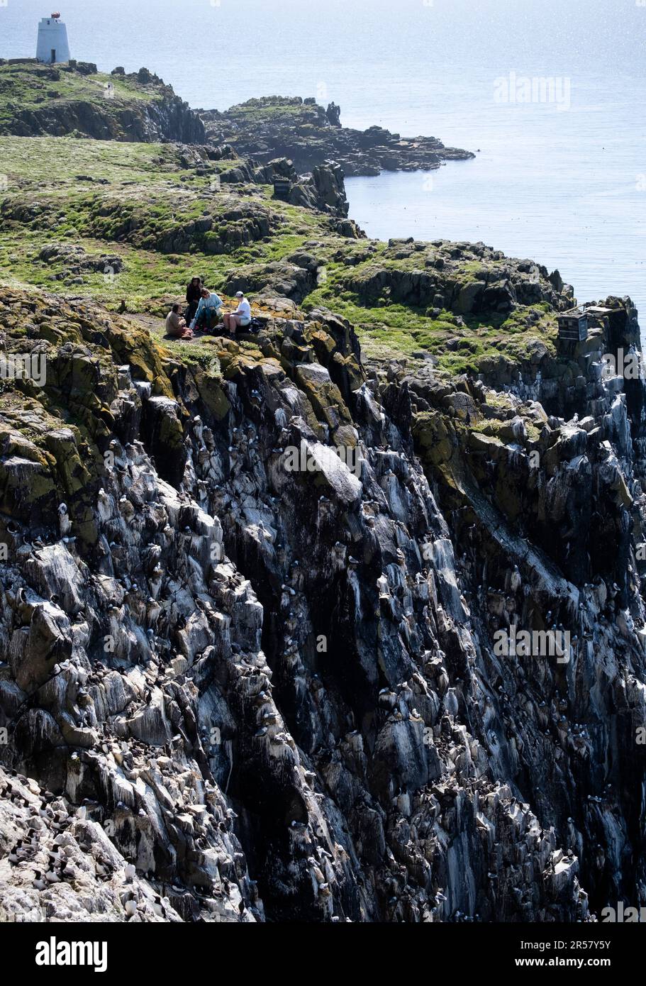 The beautiful nature reserve at the Scottish Isle of May Stock Photo ...