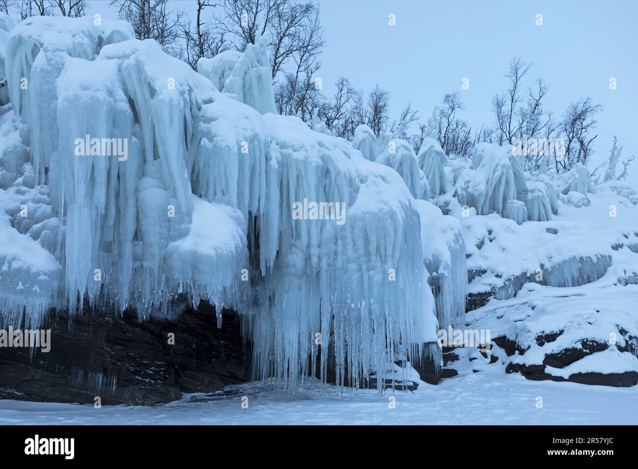 Icicles on the shore of Lake Tornetraesk, Lapland, Sweden Stock Photo ...