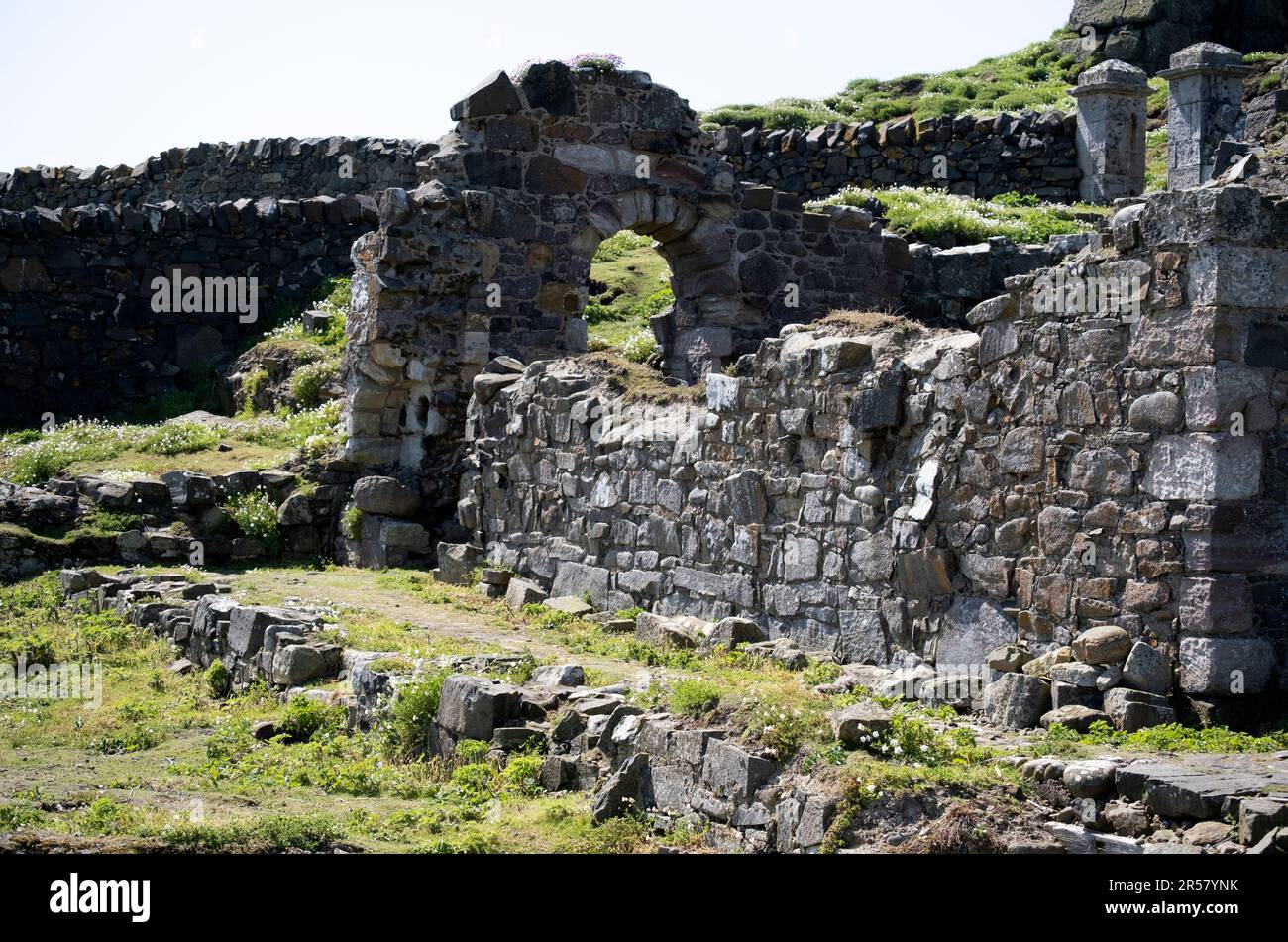 The beautiful nature reserve at the Scottish Isle of May Stock Photo ...