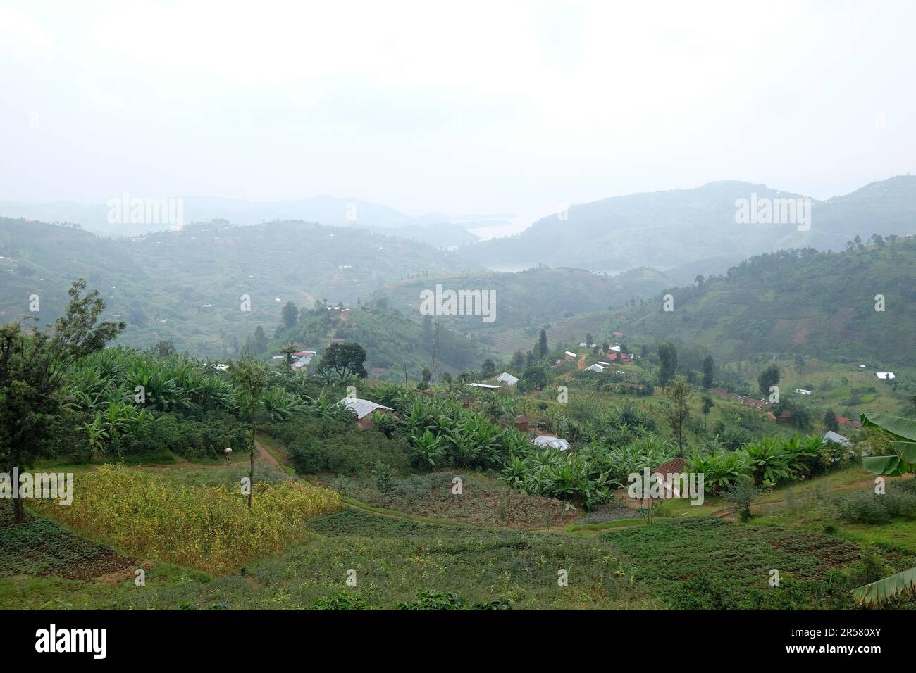 Rwanda. surrounding of Cyangugu. landscape Stock Photo - Alamy