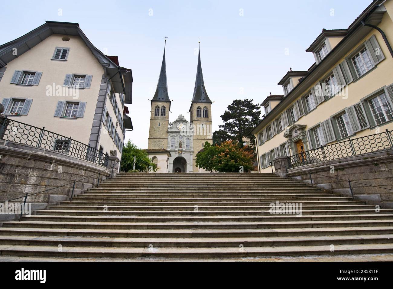 Lucerne food hi-res stock photography and images - Alamy