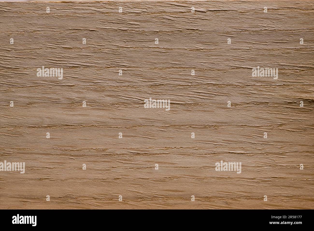 American (Quercus alba) White Oak wood Stock Photo - Alamy