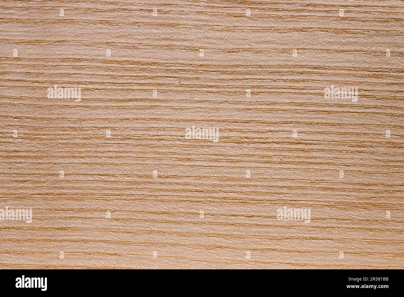 Common Ash (Fraxinus excelsior) wood Stock Photo - Alamy