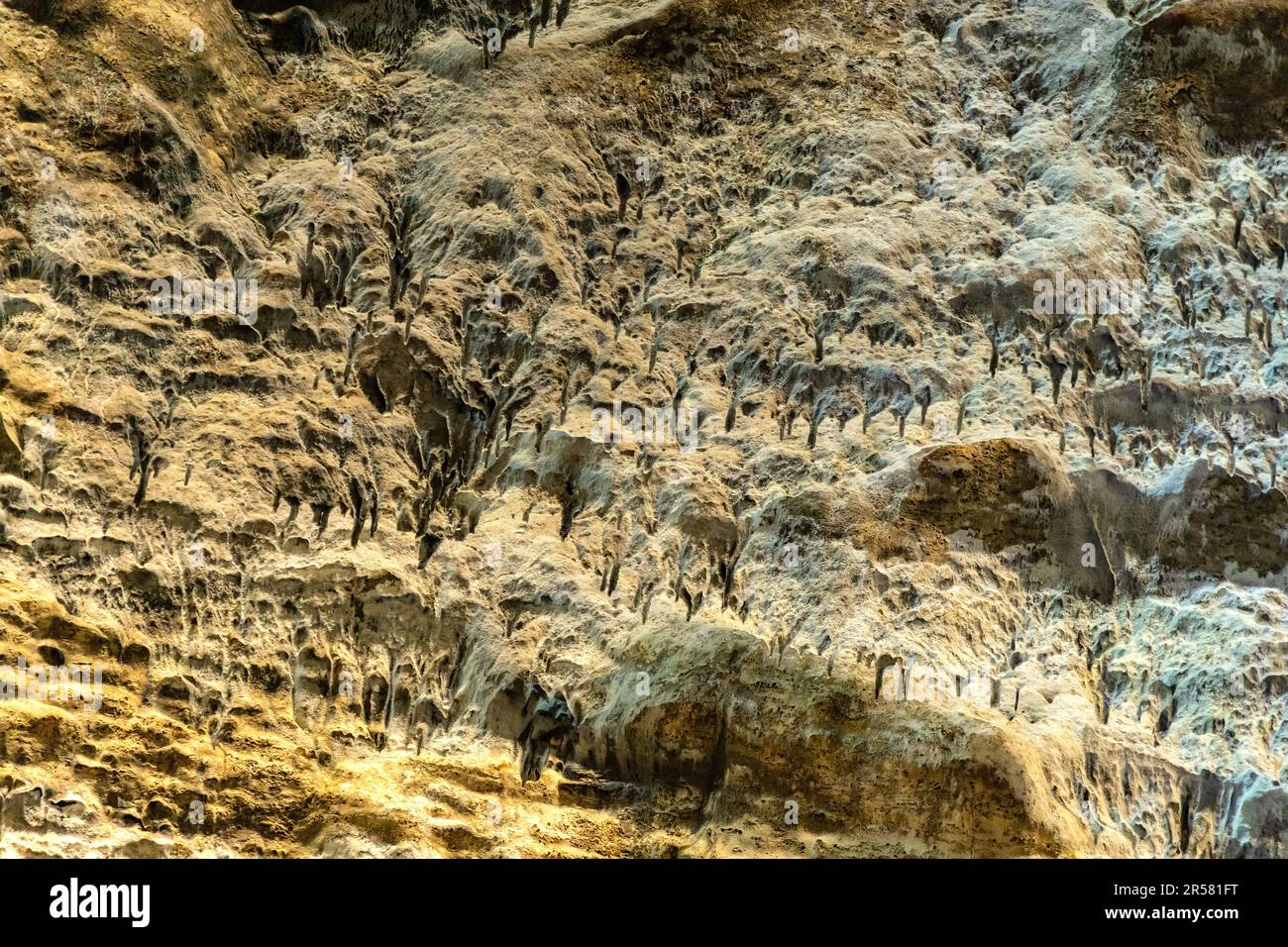 Limestone Bat Cave Jaskinia Nietoperzowa known for multiple species of ...