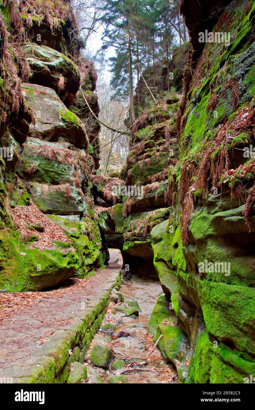 Grund gate hi-res stock photography and images - Alamy
