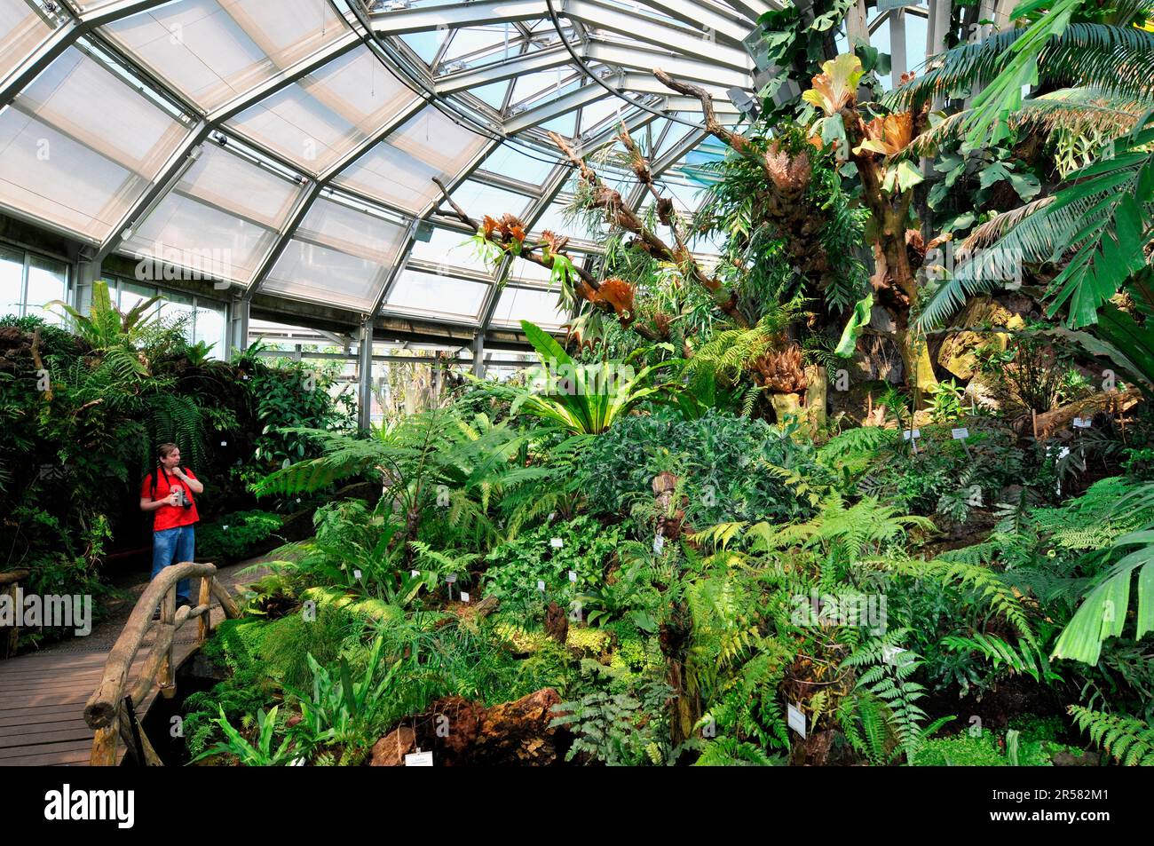 Tropical House, Botanical Garden, Dahlem, Berlin, Germany Stock Photo ...