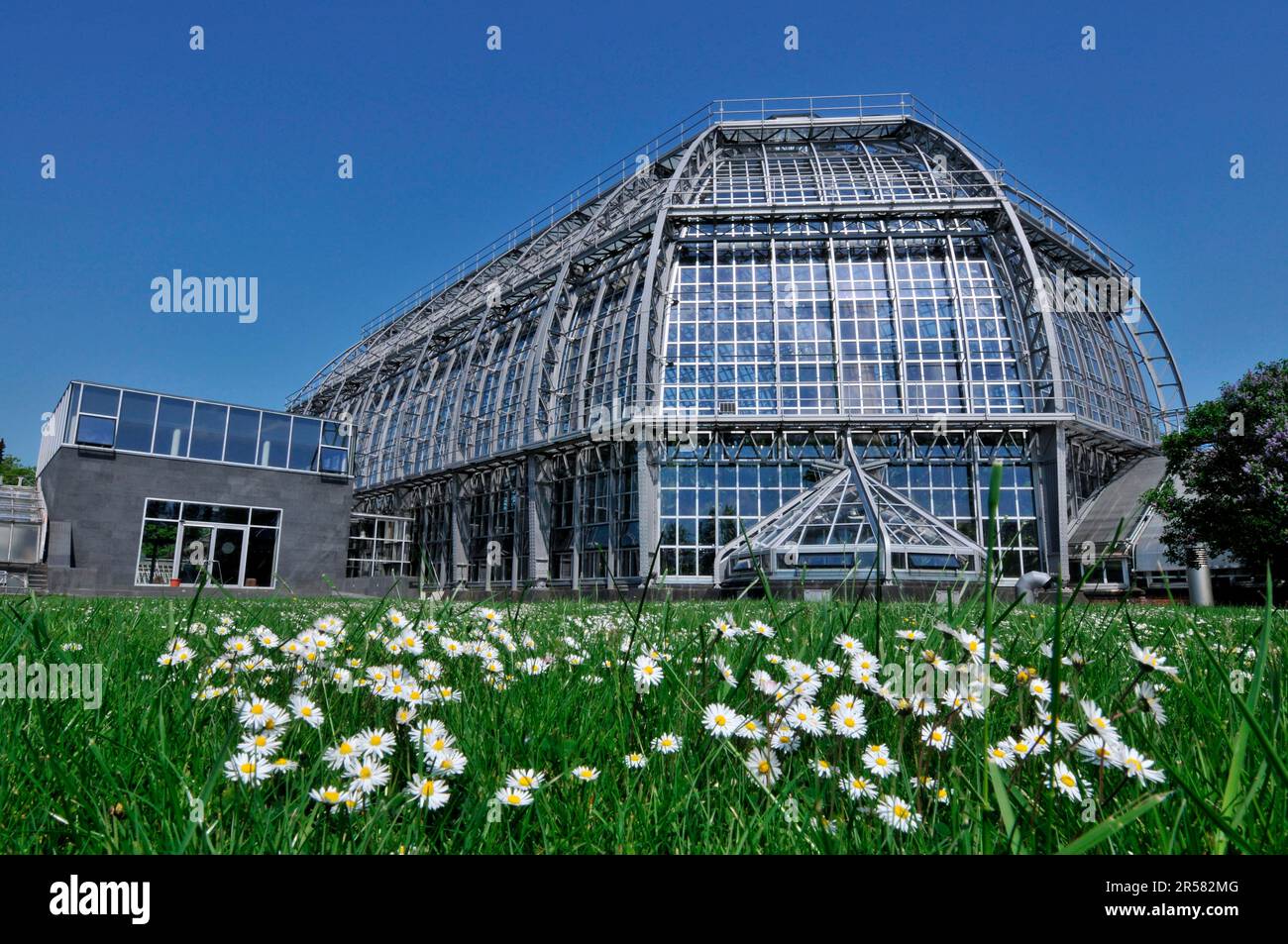 Large Tropical House, Botanical Garden, Dahlem, Berlin, Germany Stock ...