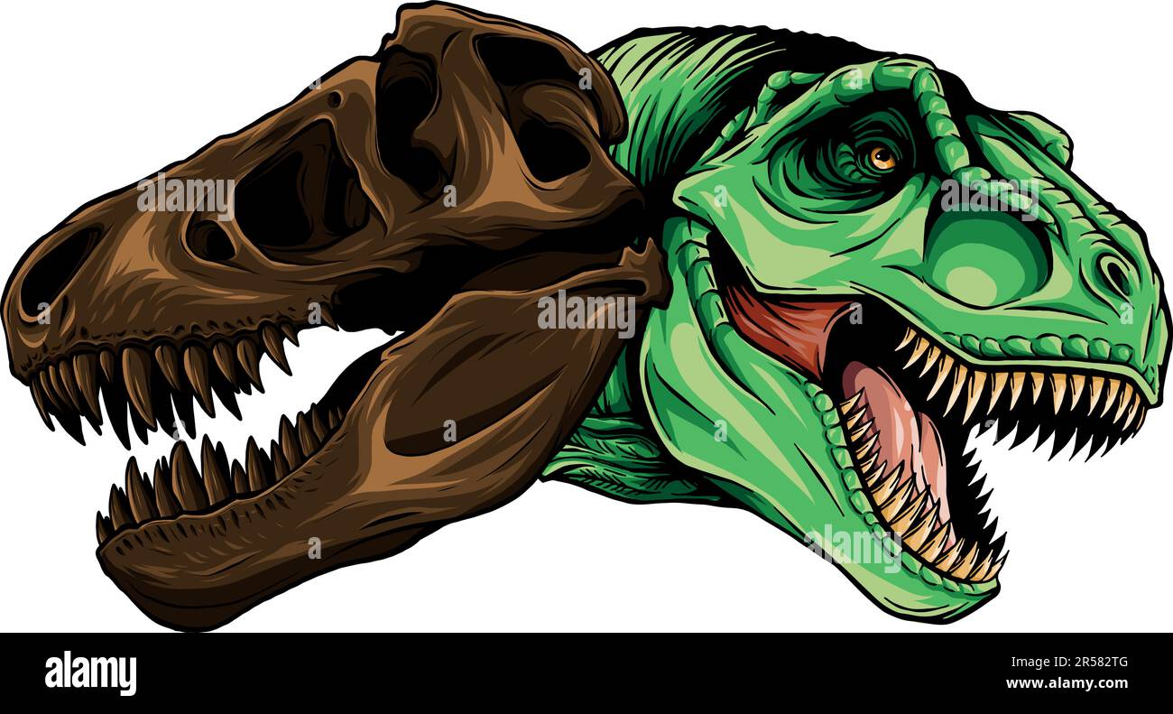 vector illustration of Tyrannosaurus rex with skull Stock Vector Image & Art - Alamy