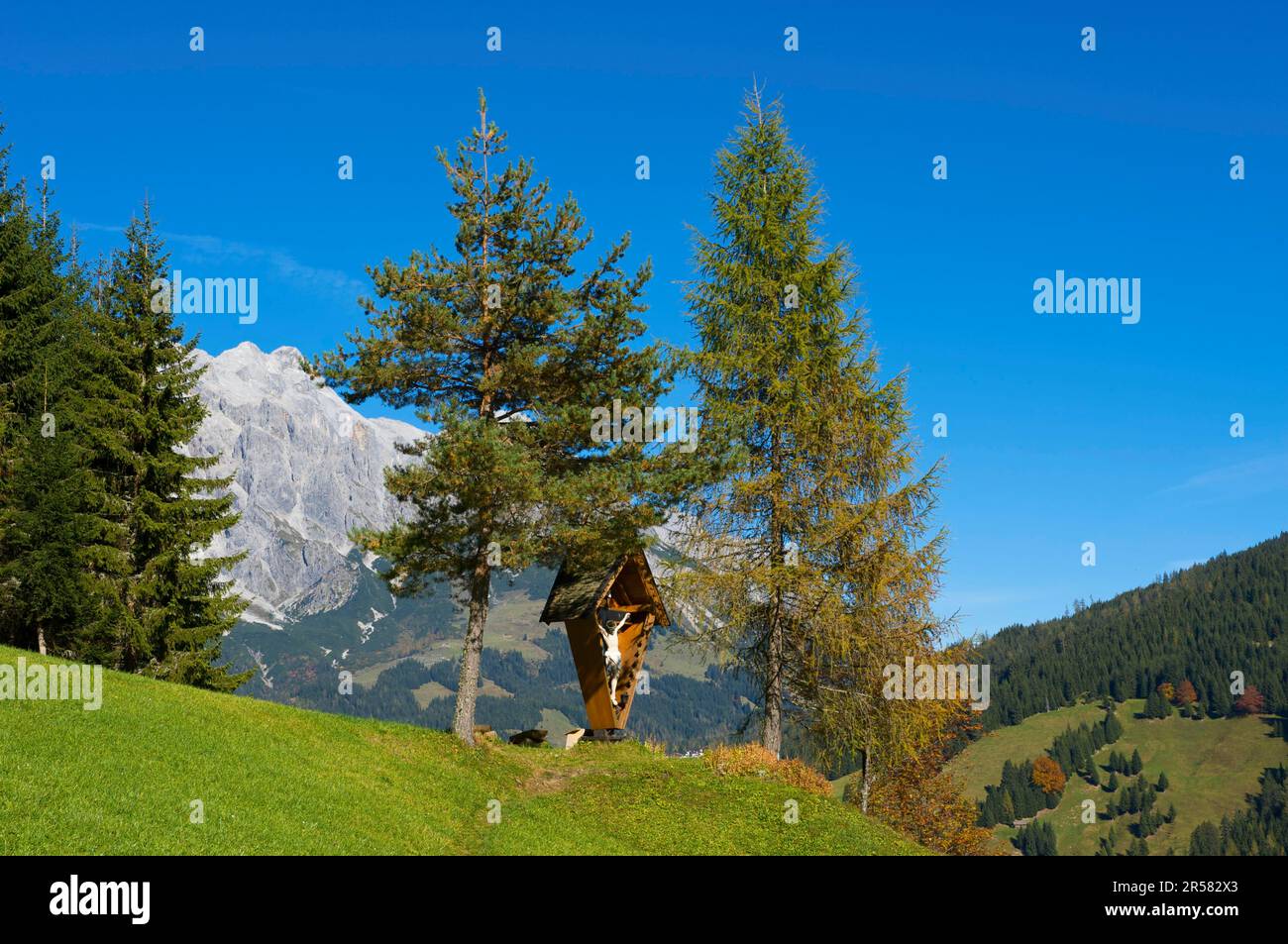 Wayside cross in the Dienten valley with Hochkoenig, Pinzgau in ...