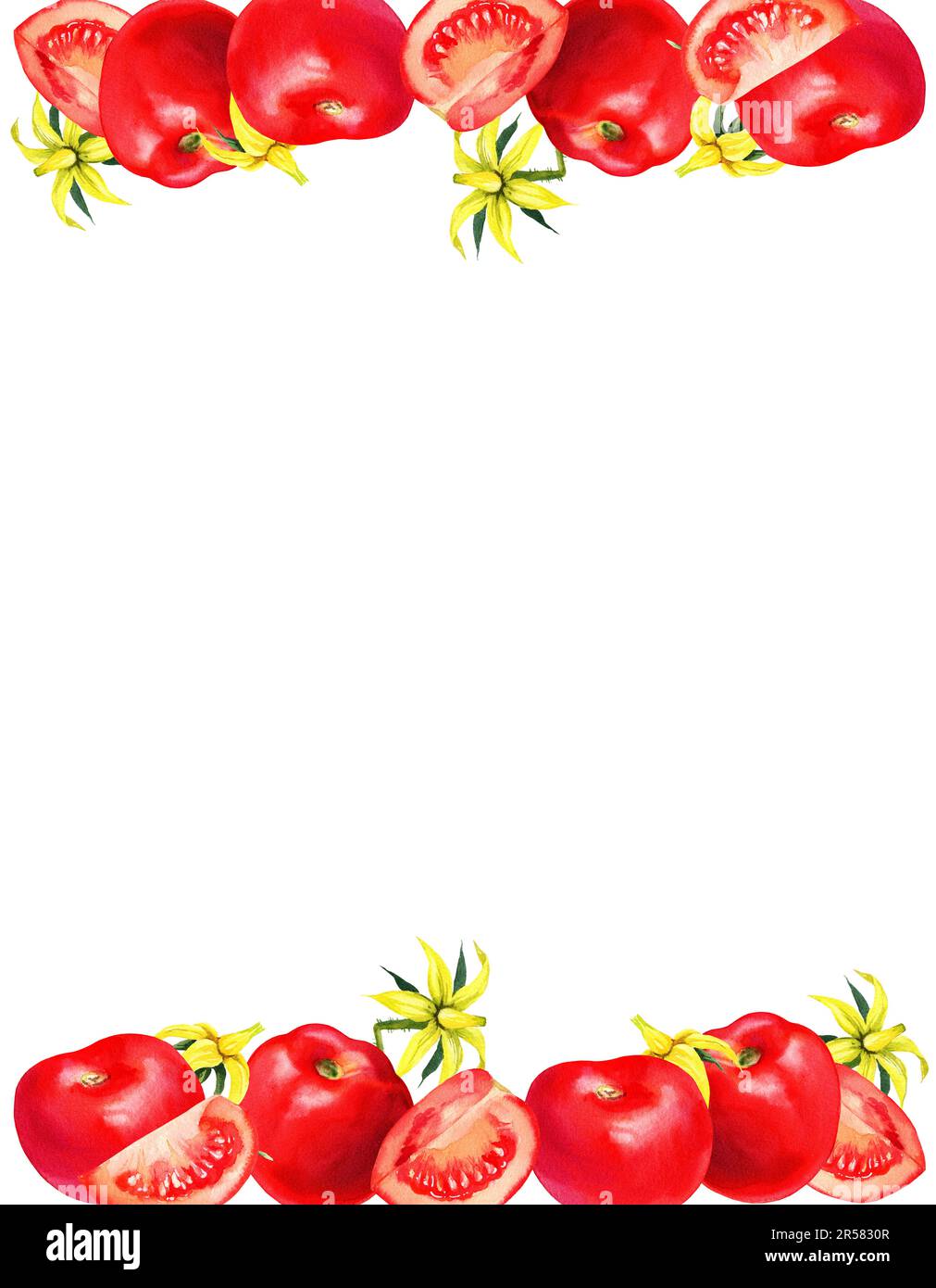 watercolor fresh red ripe tomatoes, hand drawn illustration, frame with ...
