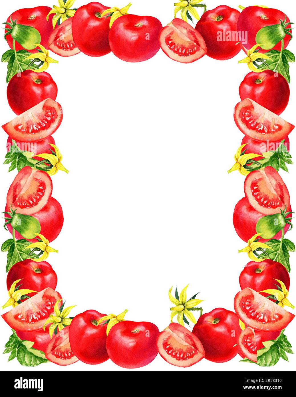 watercolor tomatoes, hand drawn illustration, frame with tomatoes ...