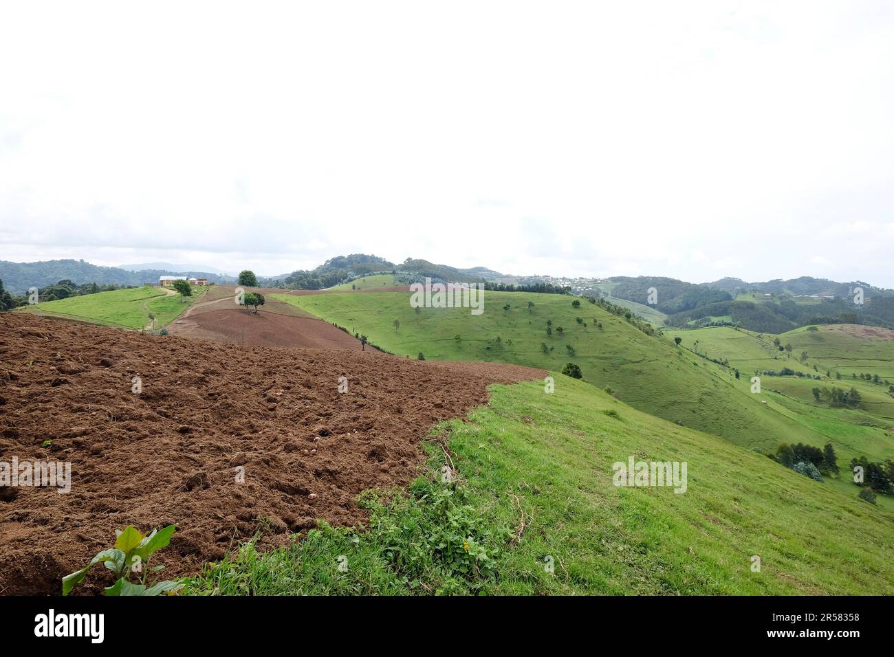 Rwanda. surrounding of Kibuye. landscape Stock Photo - Alamy
