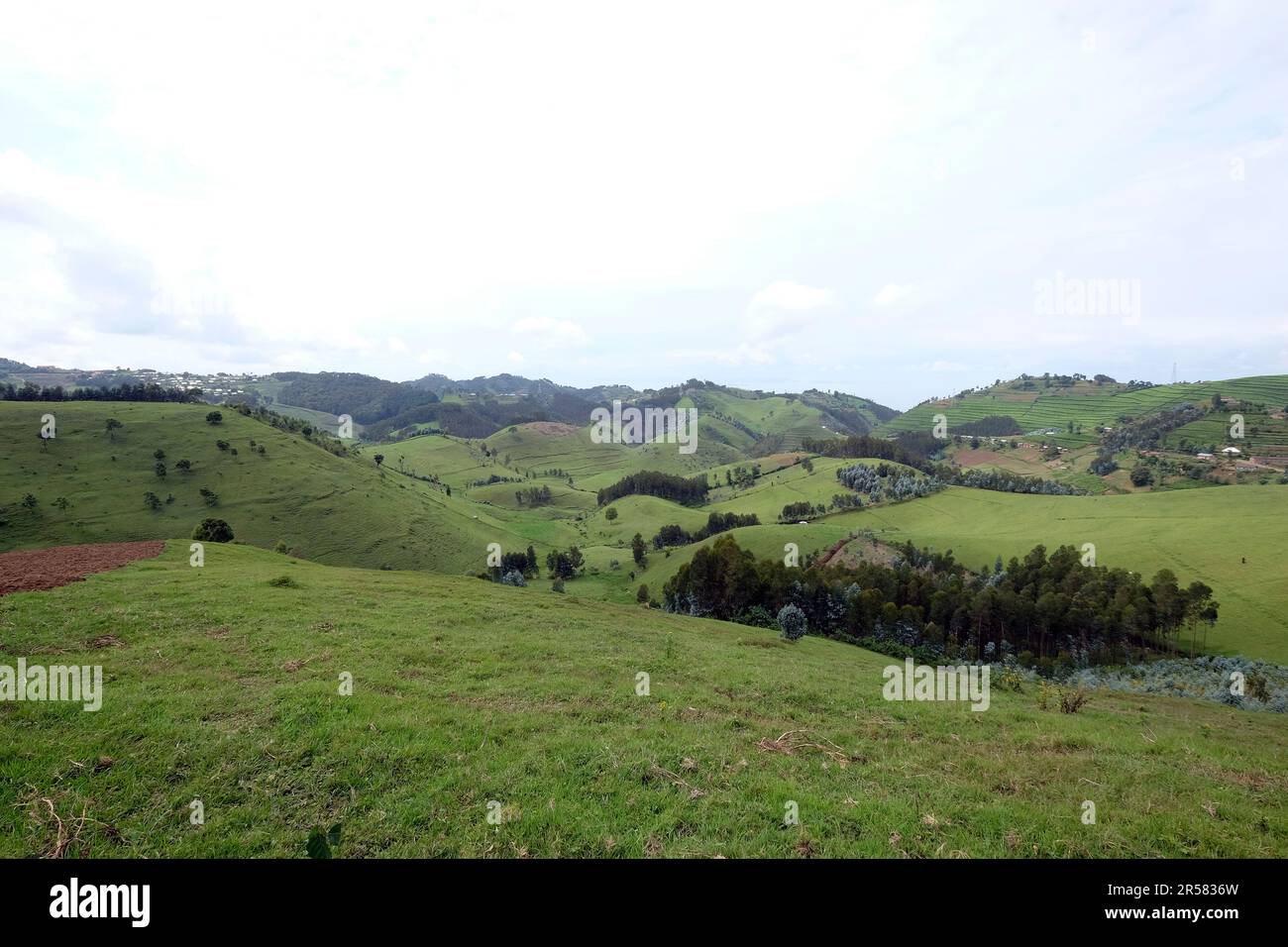 Rwanda. surrounding of Kibuye. landscape Stock Photo - Alamy
