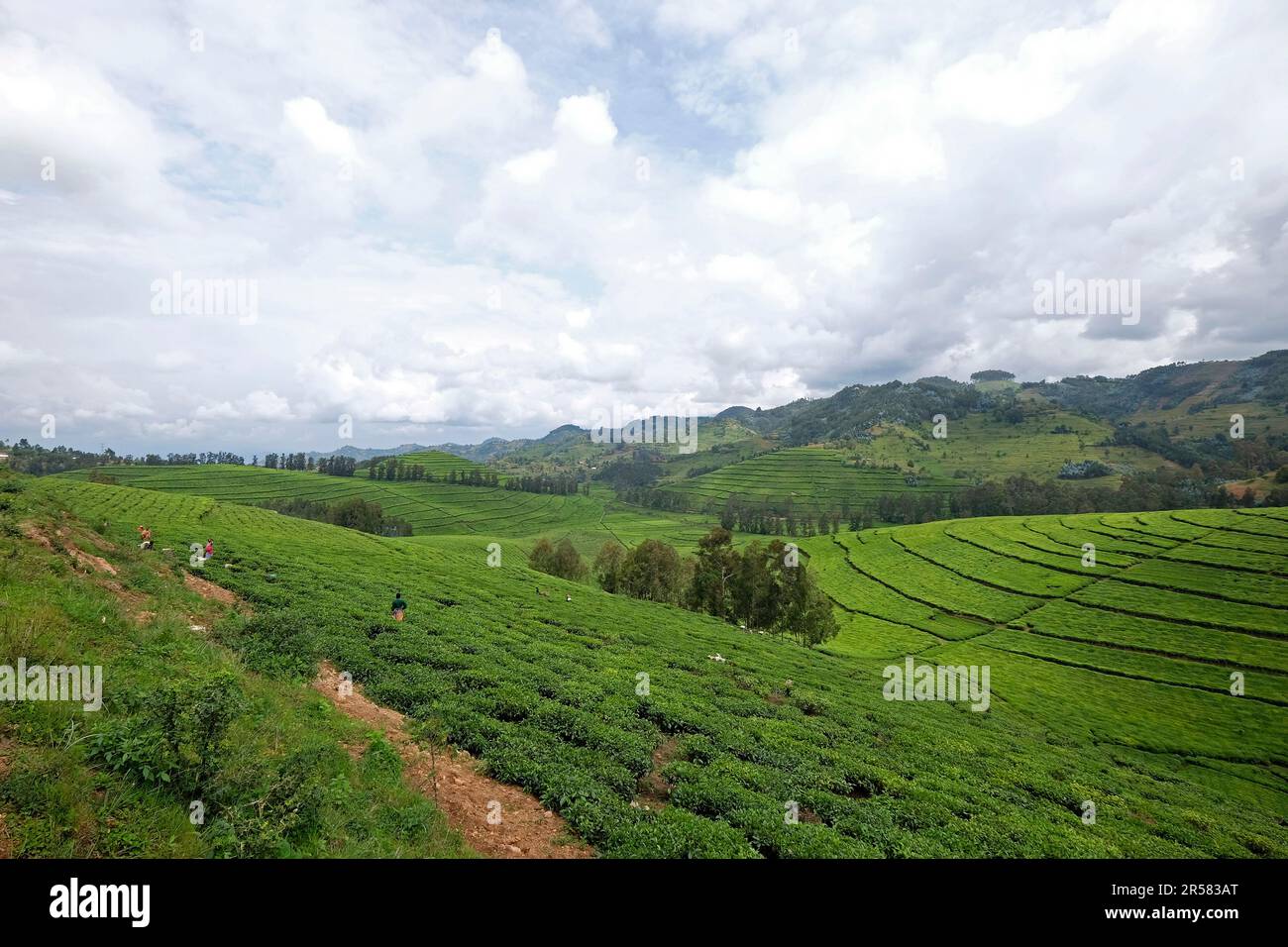 Rwanda. surrounding of Kibuye. landscape Stock Photo - Alamy