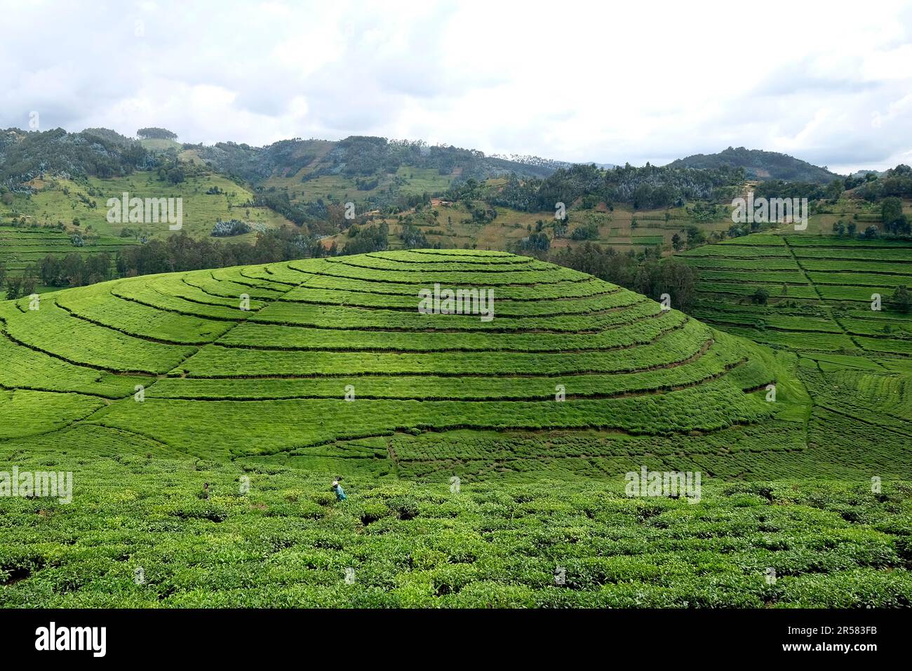 Rwanda. surrounding of Kibuye. landscape Stock Photo - Alamy