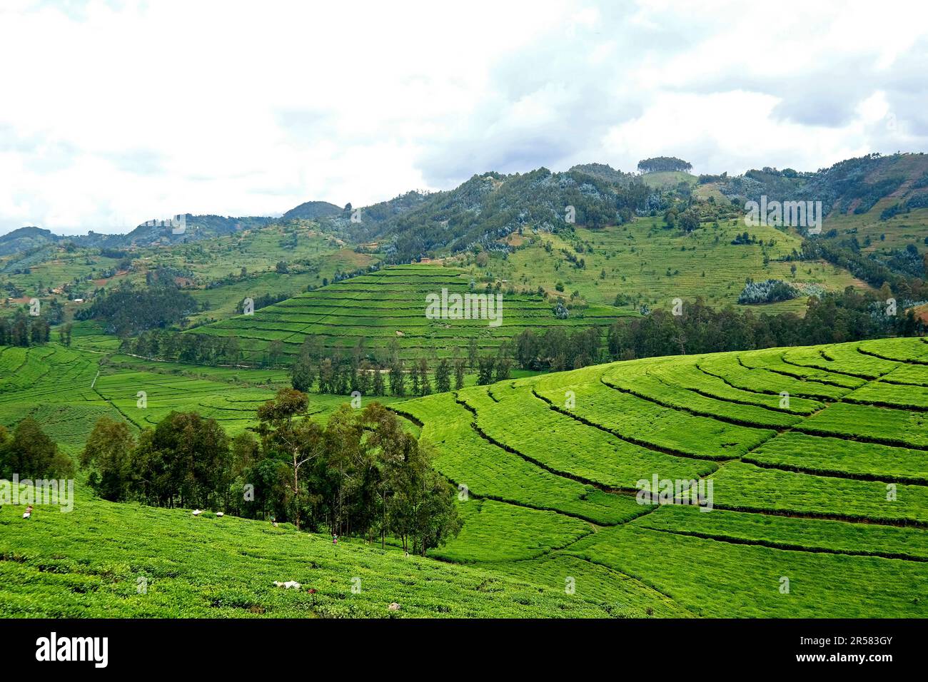 Rwanda. surrounding of Kibuye. landscape Stock Photo - Alamy