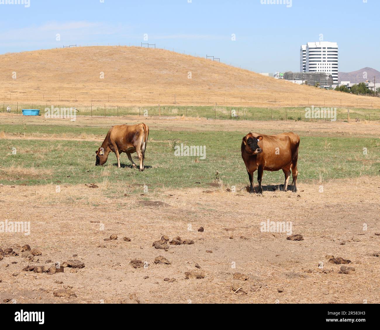 Pierce college agriculture hi-res stock photography and images - Alamy