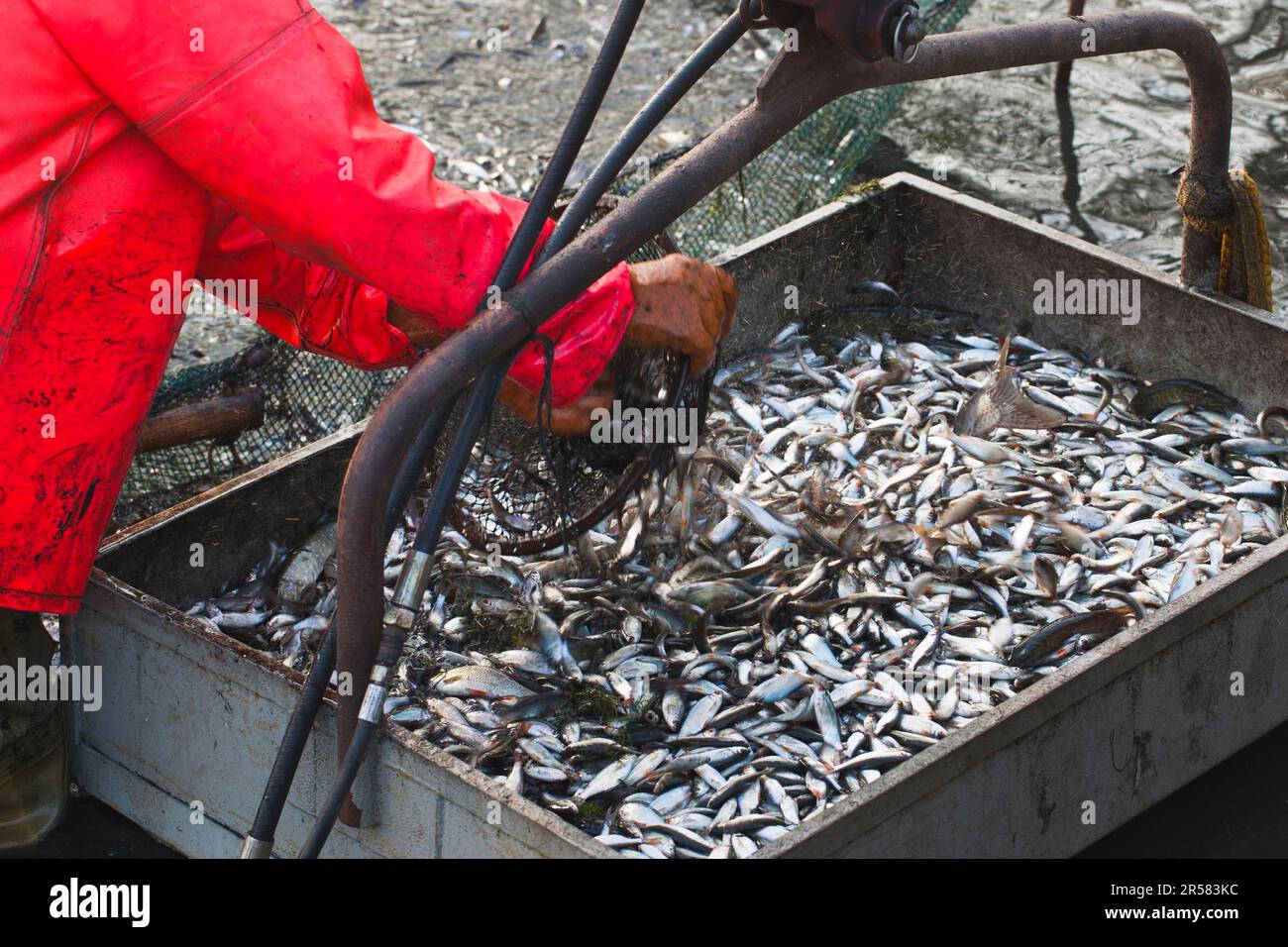 Dip station hi-res stock photography and images - Alamy