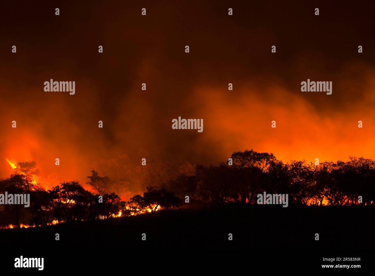 Bushfire, KwaZulu-Natal, South Africa, Fire Stock Photo - Alamy