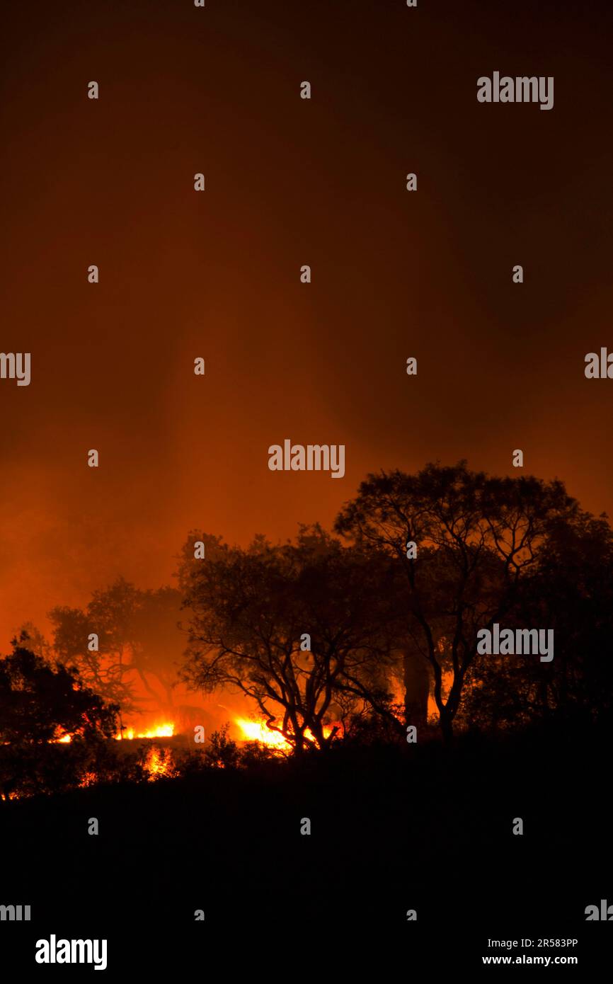 South africa fire hi-res stock photography and images - Alamy