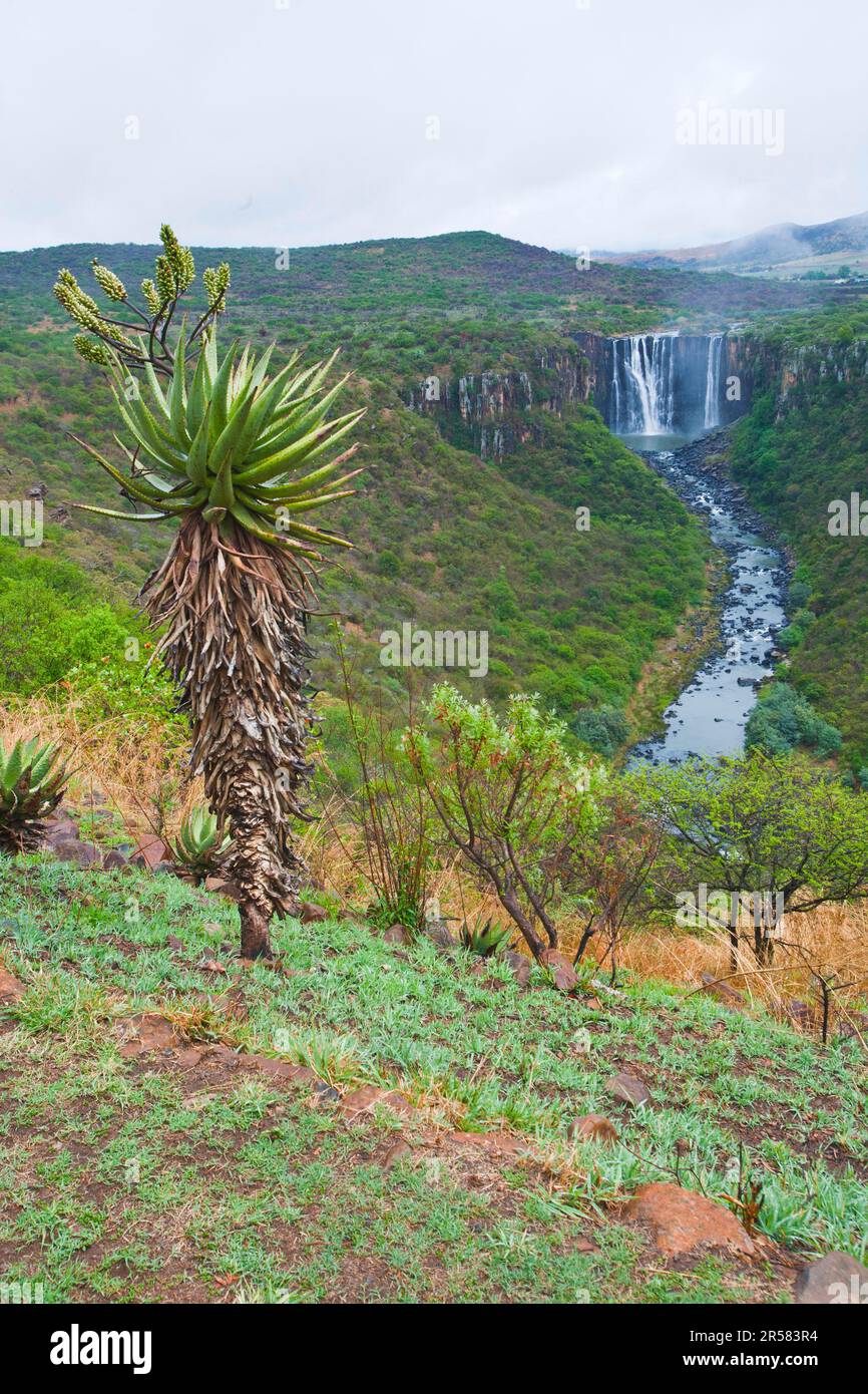 Mooi river hi-res stock photography and images - Alamy