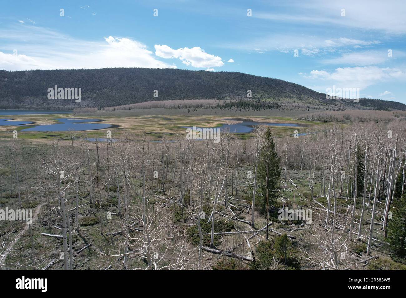 Fish lake utah hi-res stock photography and images - Alamy