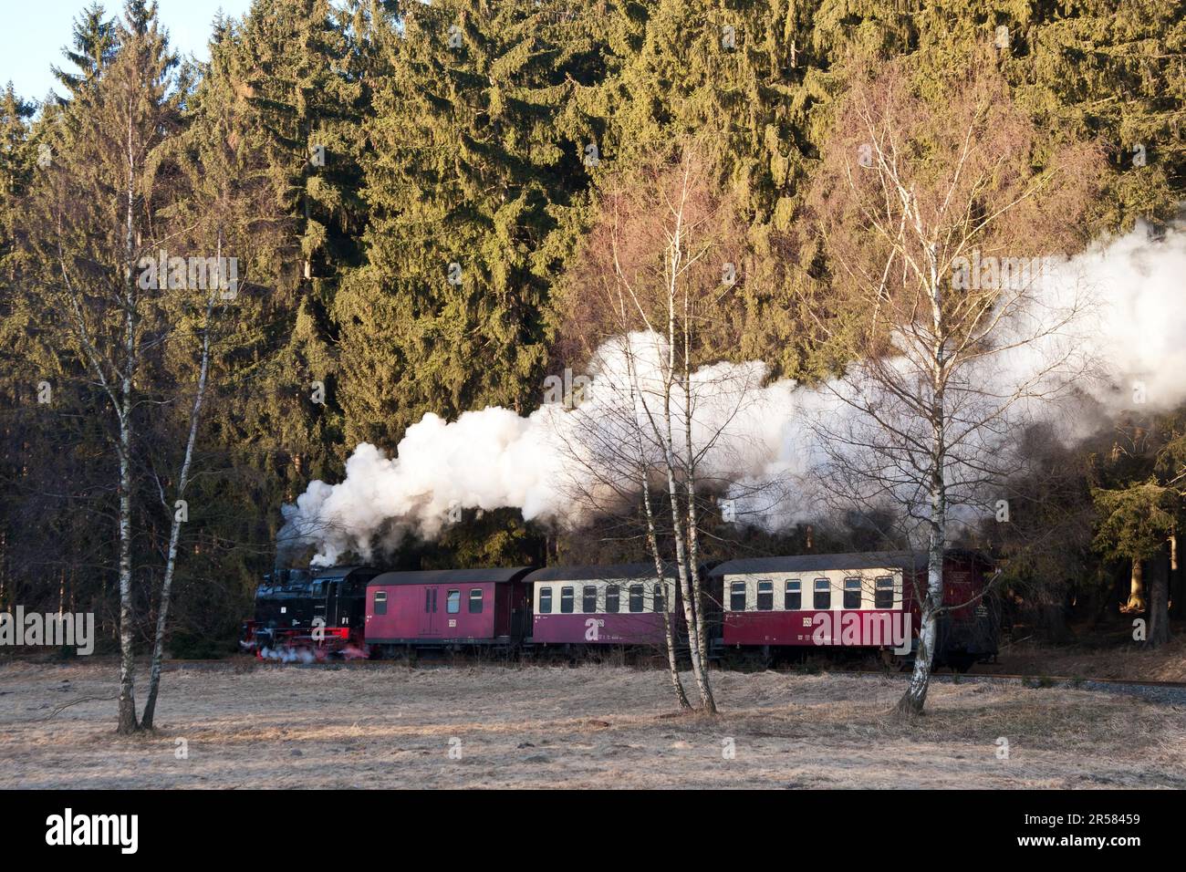 Steam Locomotive Selketalbahn Stock Photo Alamy