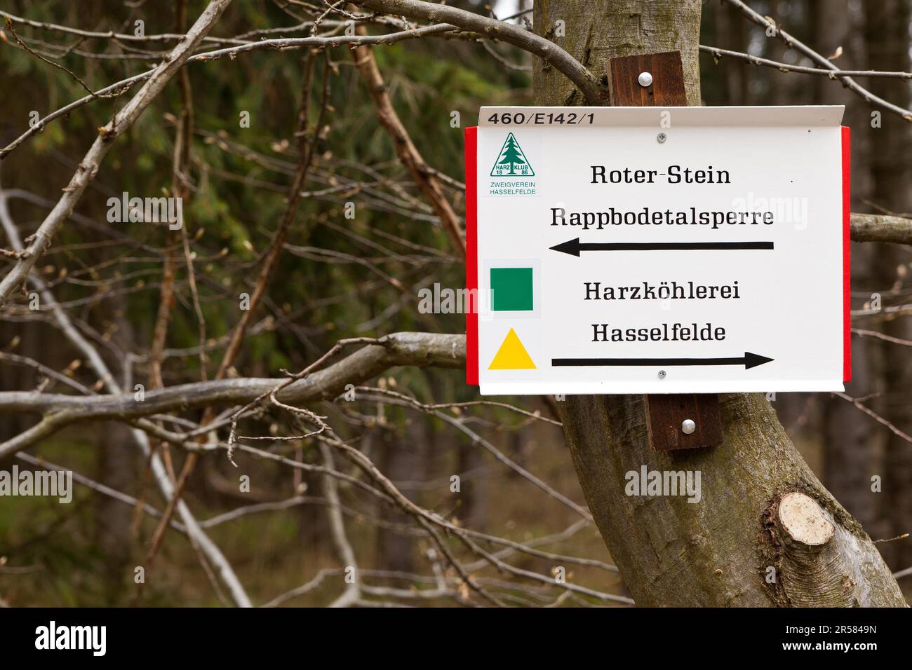 Wanderschild hi-res stock photography and images - Alamy