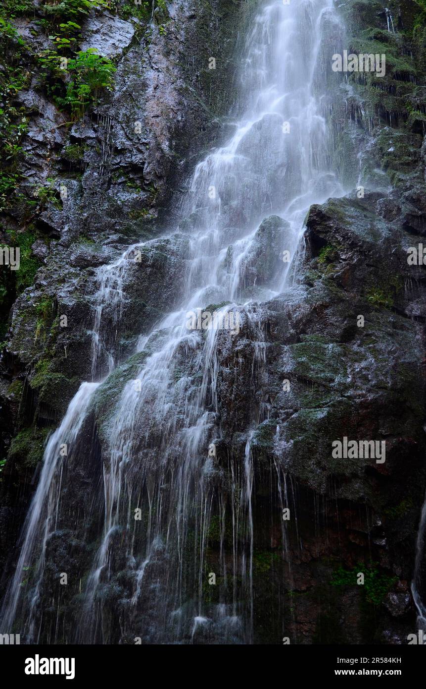 Schappach hi-res stock photography and images - Alamy