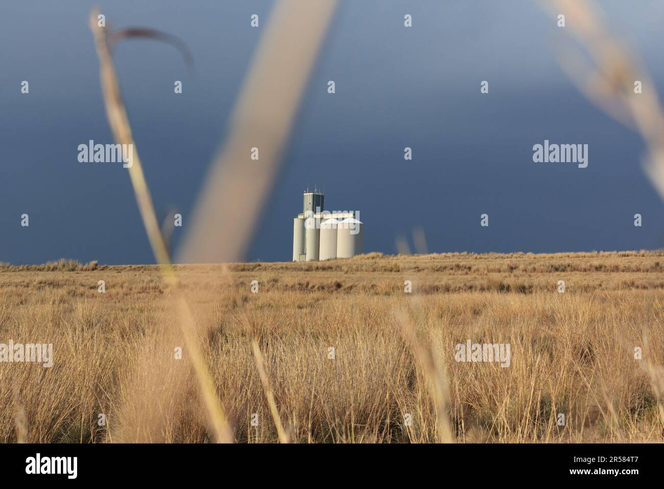 A grain silo photographed in the Free State Province of South Africa ...