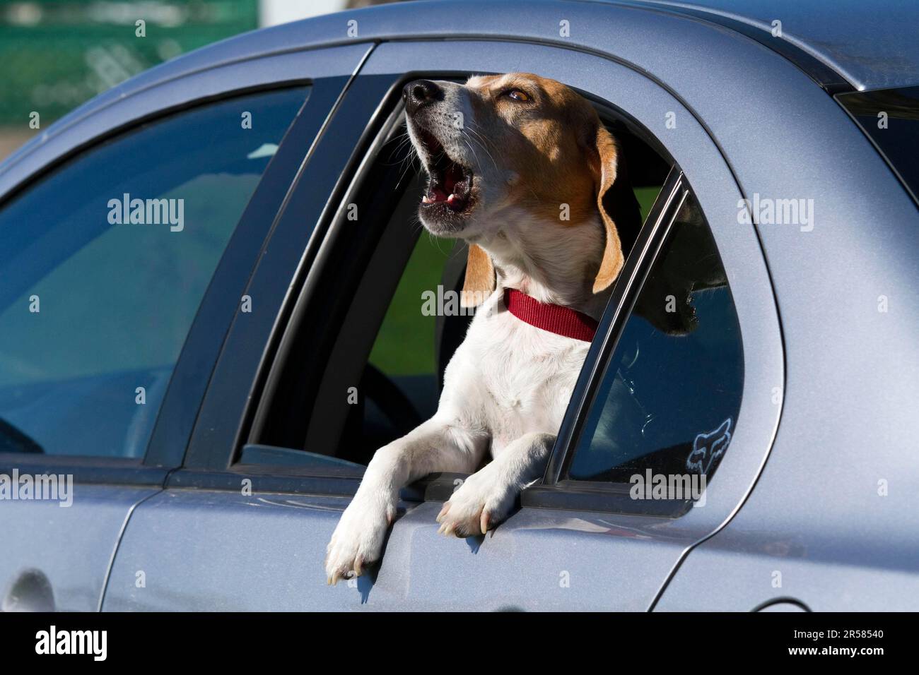 Car open window hi-res stock photography and images - Alamy