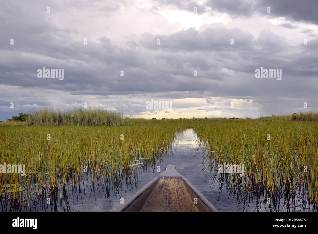 Okawango delta. Botswana Stock Photo - Alamy