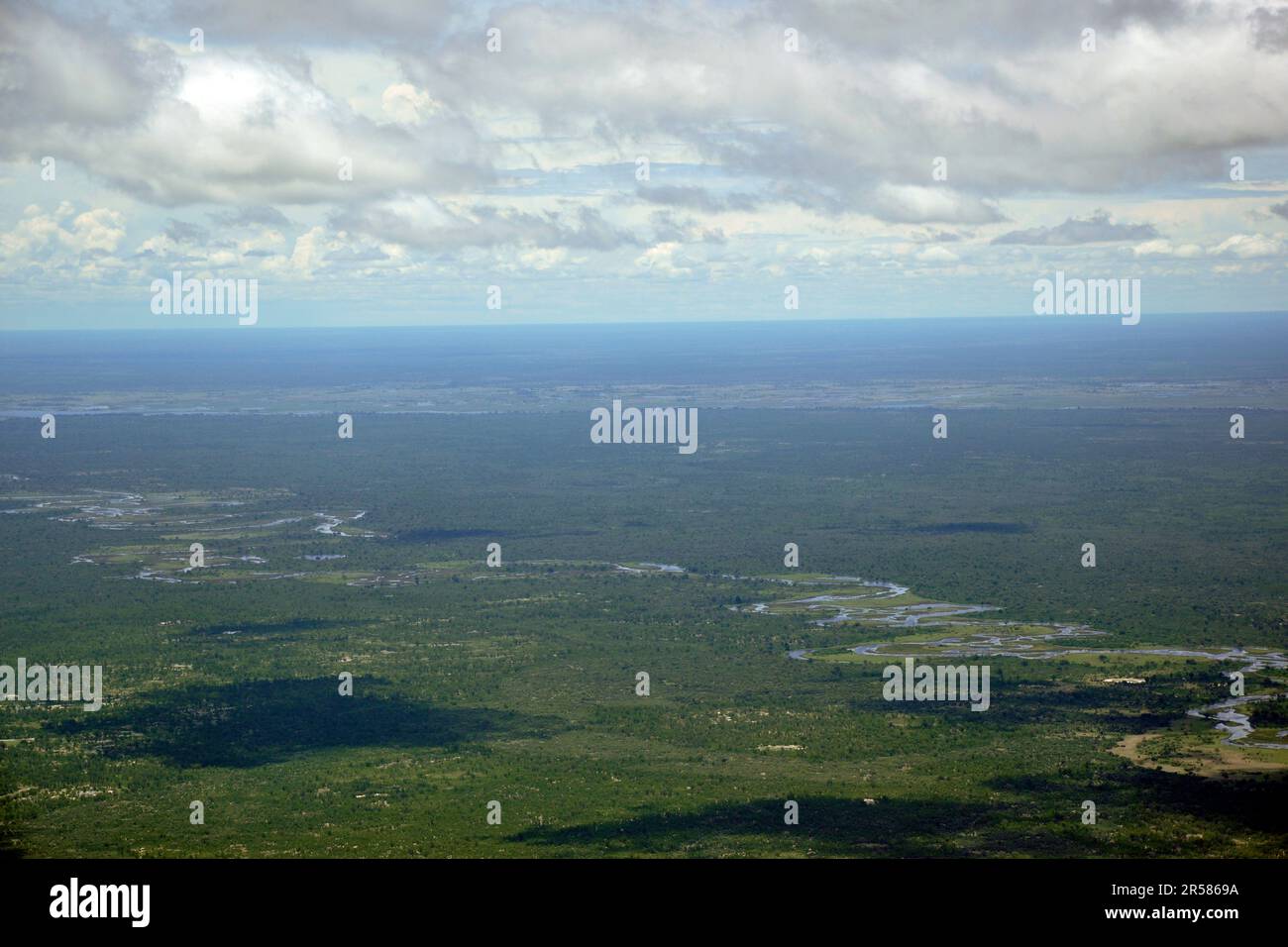 Chobe National park. Botswana Stock Photo - Alamy