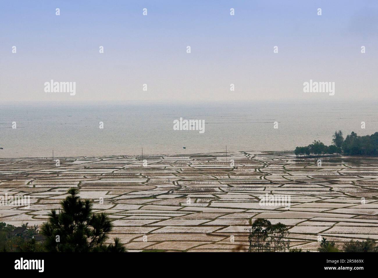 Vietnamese field hi-res stock photography and images - Alamy