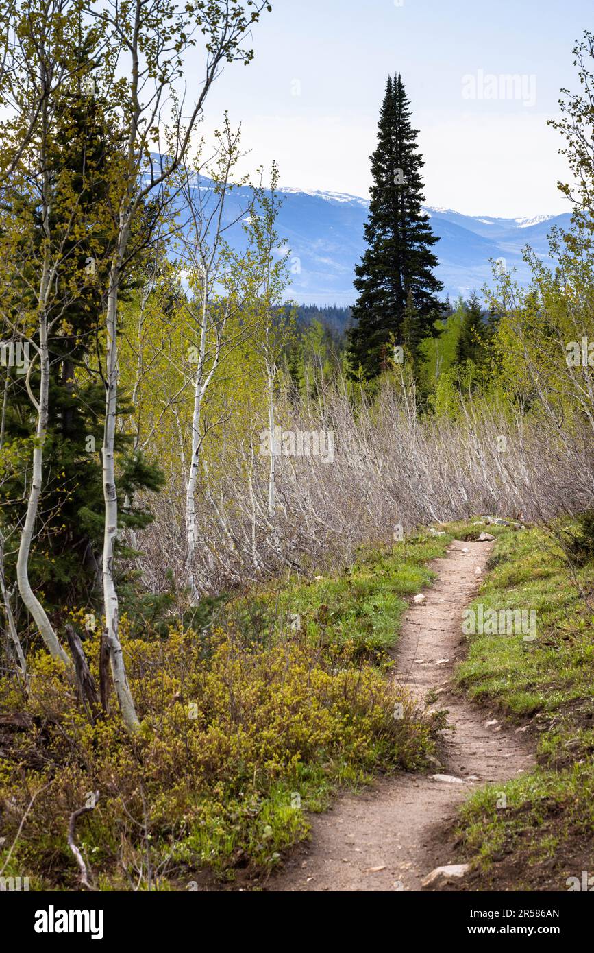 String lake loop hi-res stock photography and images - Alamy