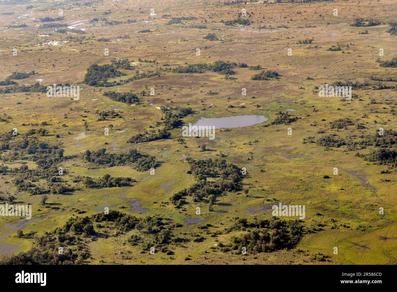 Aerial view. Moremi National Park. Botswana Stock Photo - Alamy