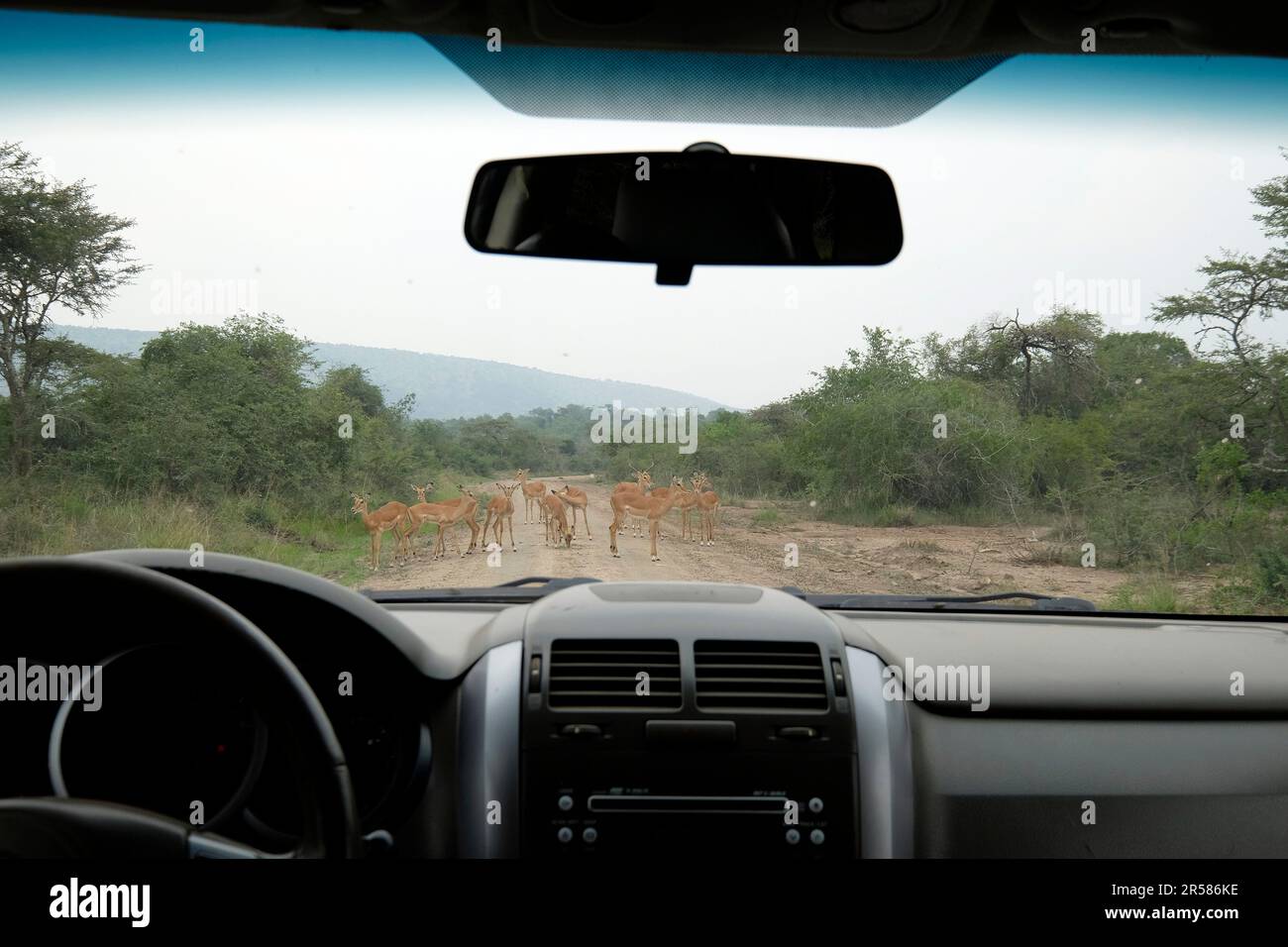 Rwanda. Akagera National Park Stock Photo - Alamy