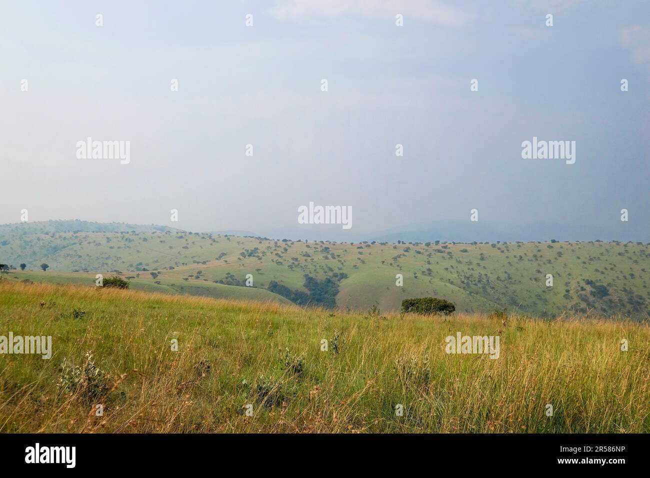 Rwanda. Akagera National Park Stock Photo - Alamy