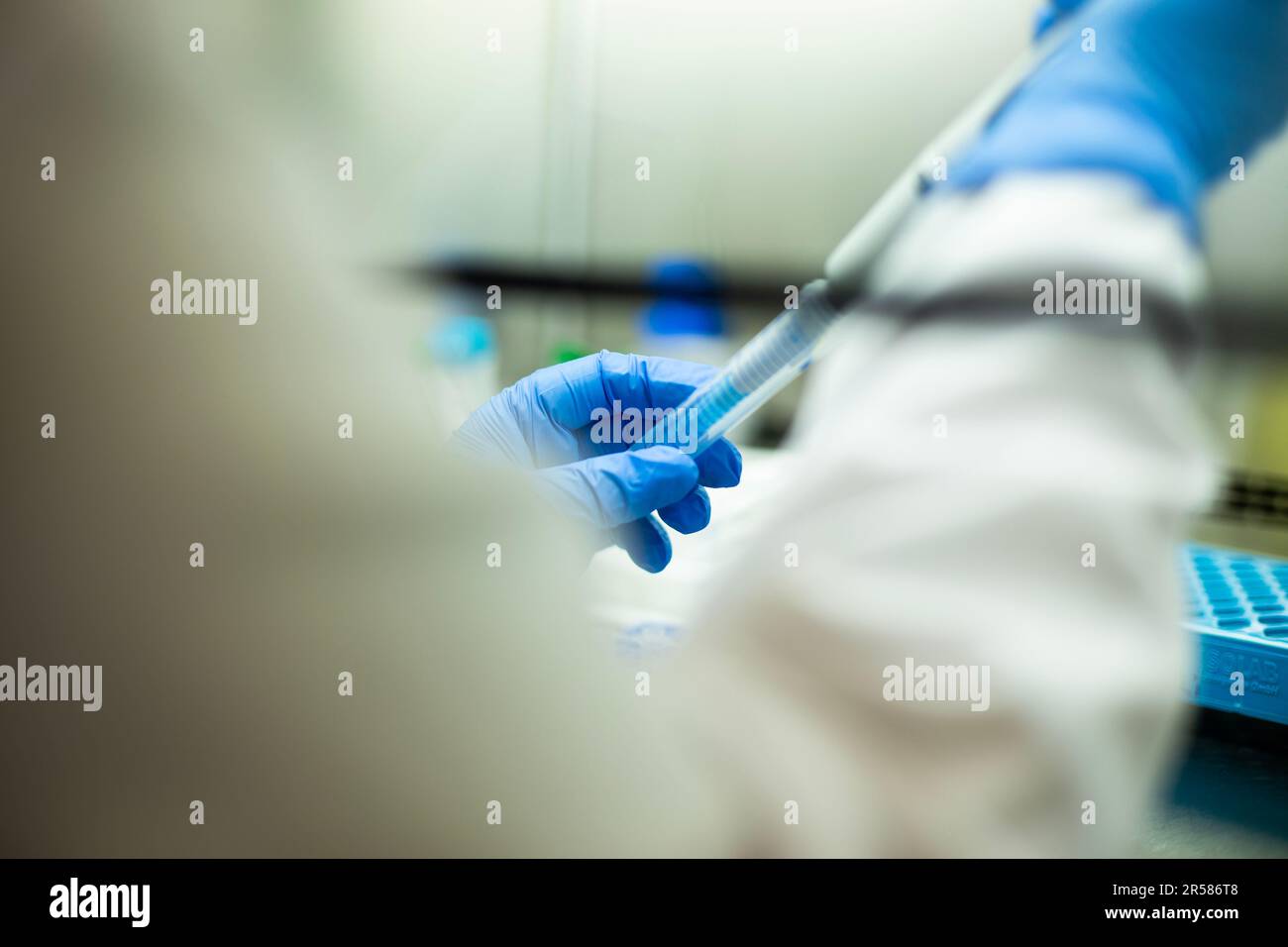 In vitro cellular assay using multi pipette and well plate cell culture ...