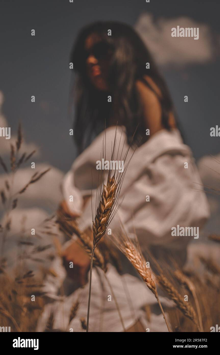 beautiful girl with black color in wheat field against clear sky. blue ...