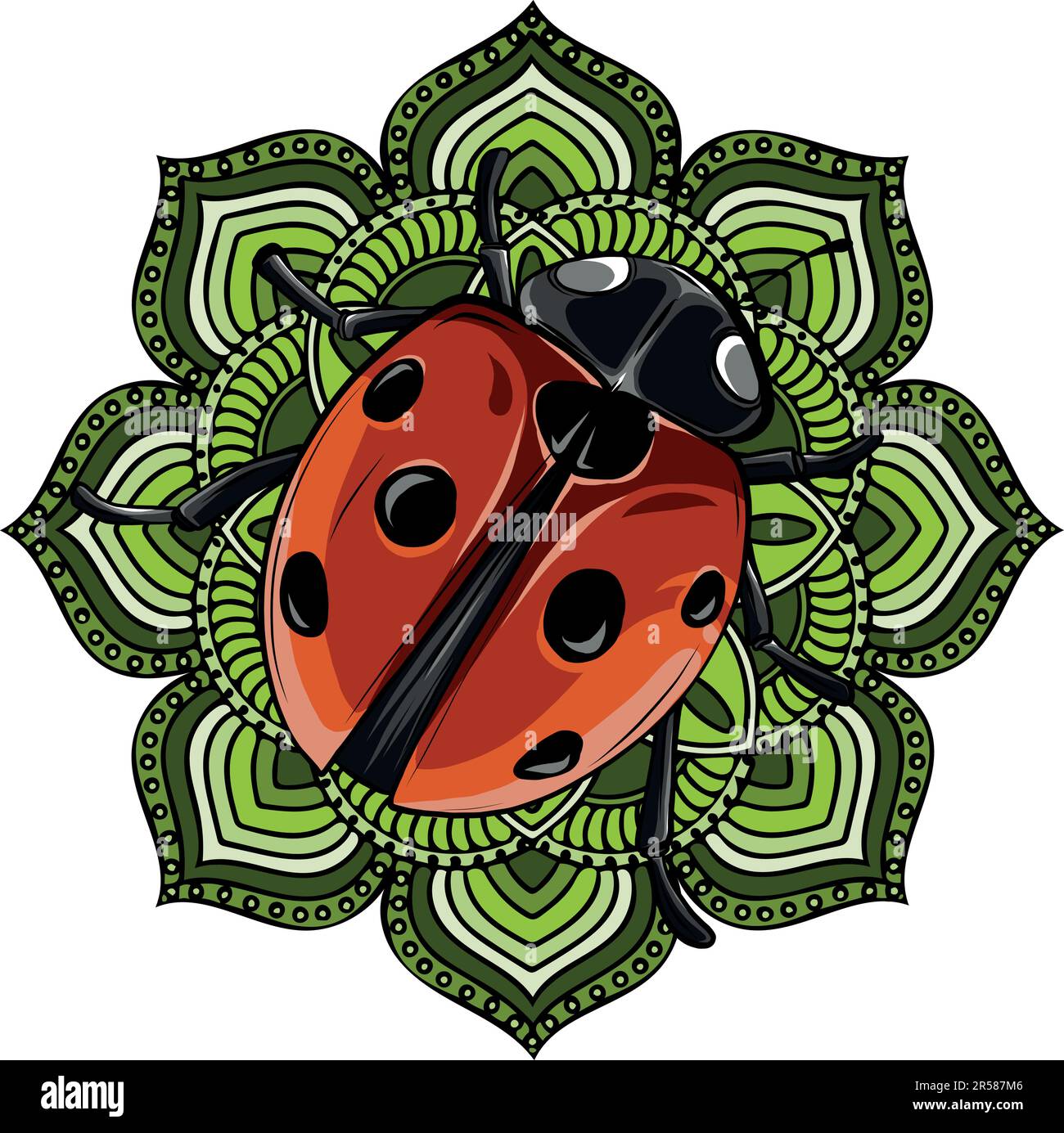 vector illustration of Cute ladybug cartoon design Stock Vector Image ...