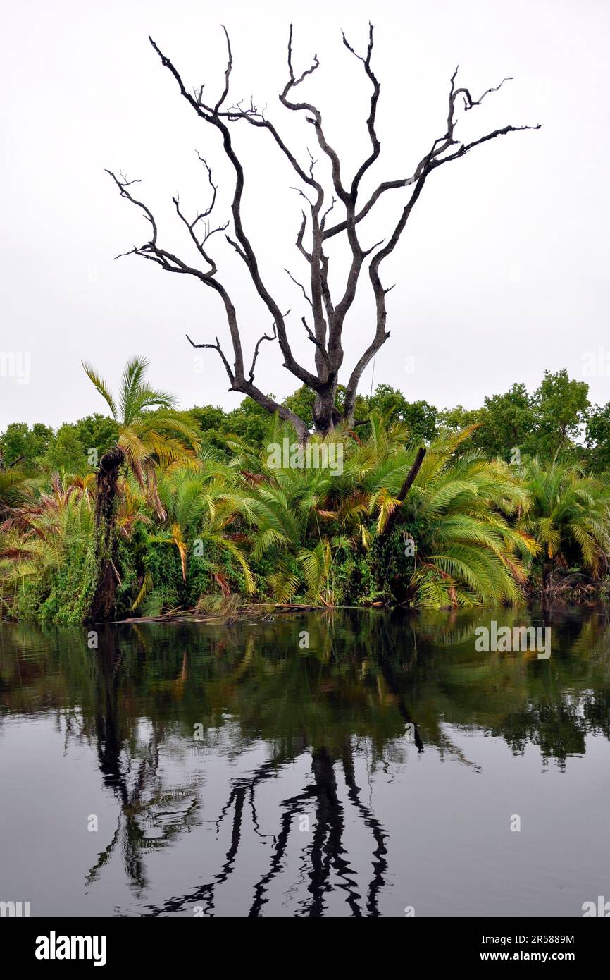 Okawango delta. Botswana Stock Photo - Alamy