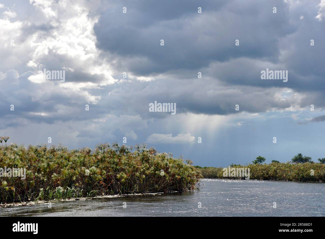 Okavango delta national park hi-res stock photography and images - Alamy