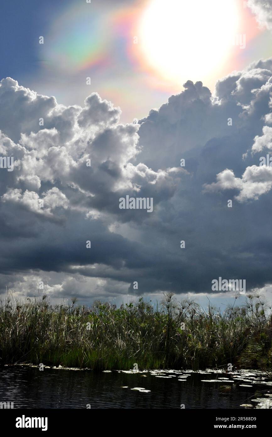 Okavango delta sky hi-res stock photography and images - Alamy