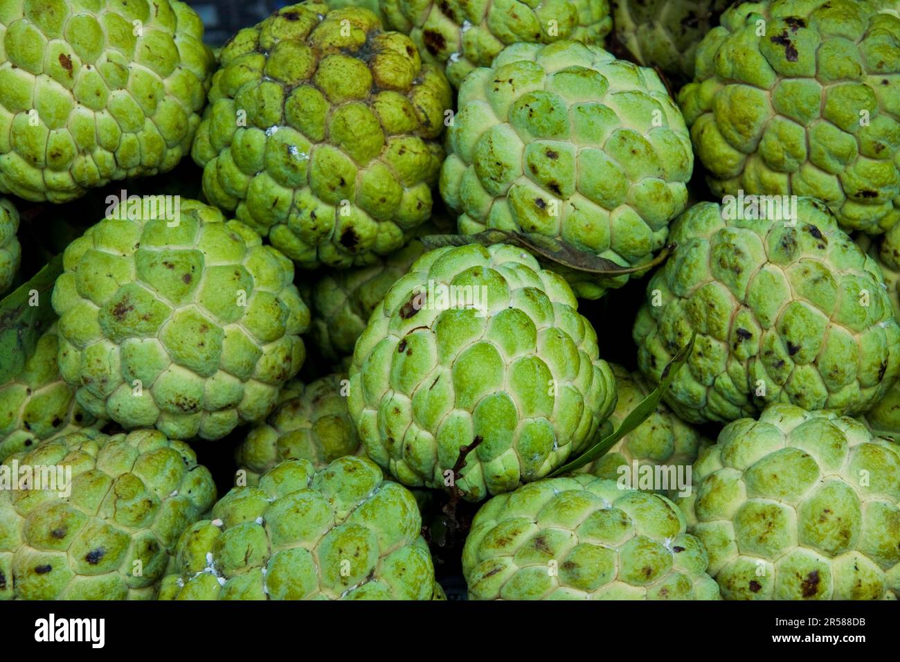 Traditional fruits. Vietnam Stock Photo - Alamy