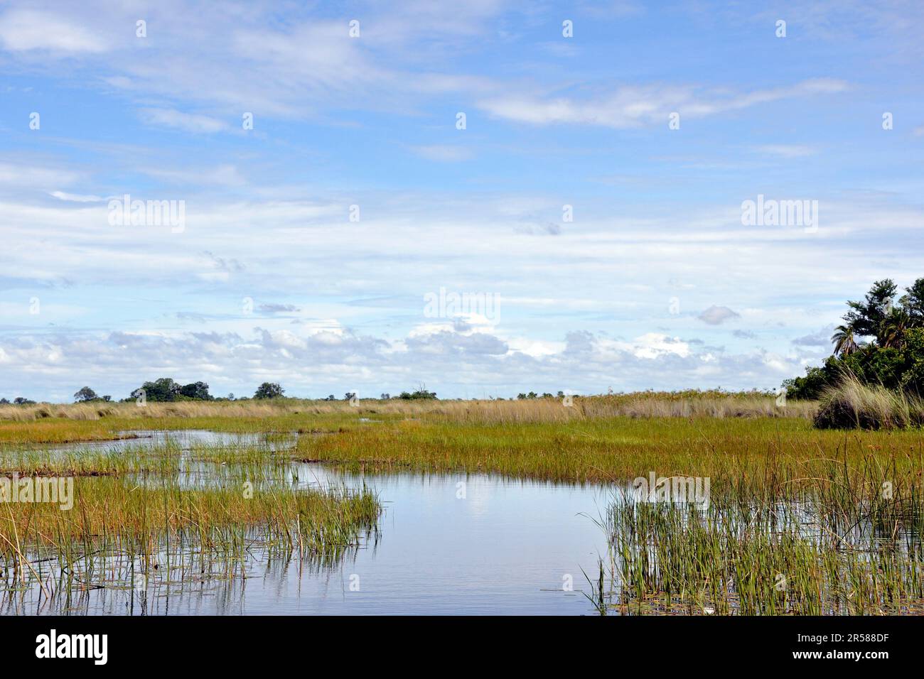 Okawang hi-res stock photography and images - Alamy